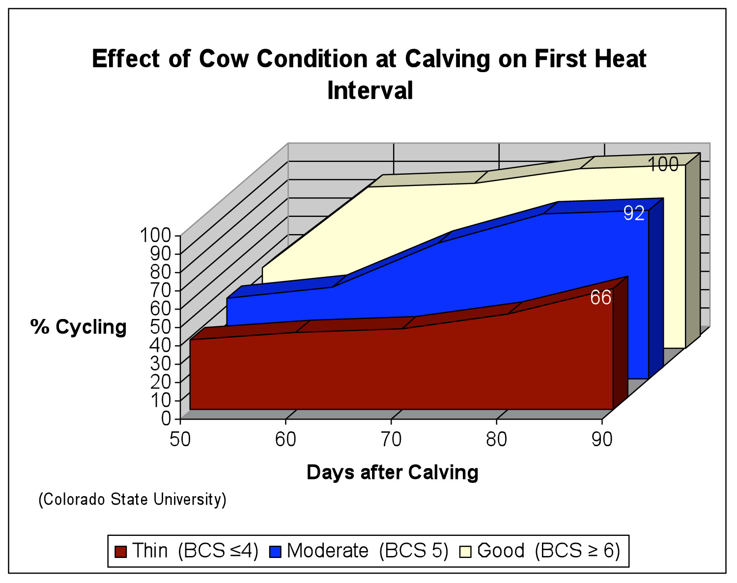 Cow Program: Calving | Anipro XF