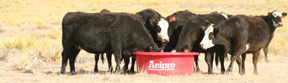 Liquid Supplements | Anipro XF