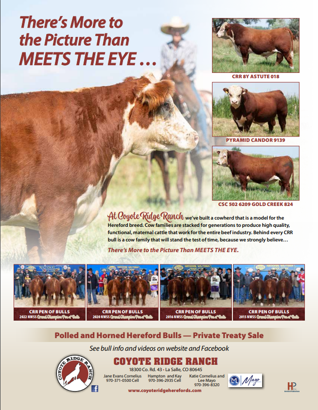 2023 Bull Catalog -- Coming in February