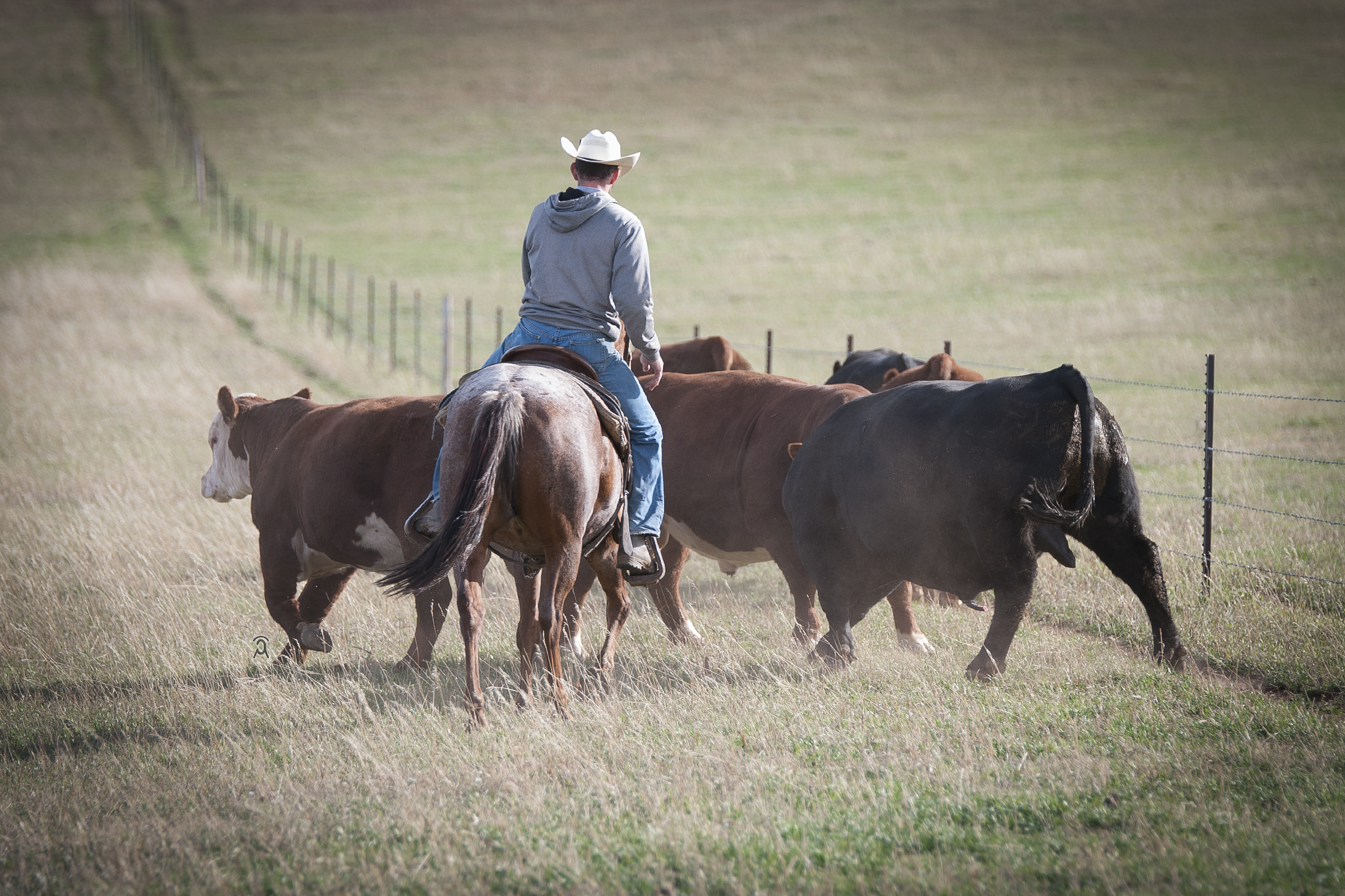 About Us | Frederickson Ranch