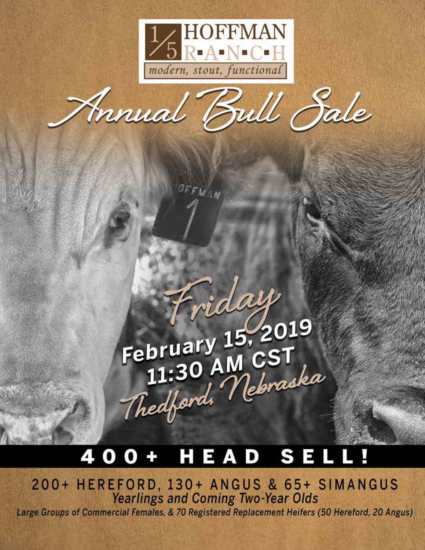 2019 Annual Bull Sale Catalog NOW Online! | News | Hoffman Ranch