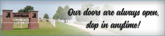 Welcome to Judd Ranch! | Judd Ranch