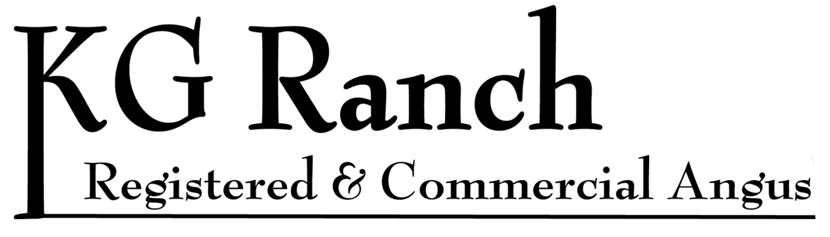 Welcome | KG Ranch