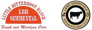 Western Montana's leading and premier aggressive livestock market