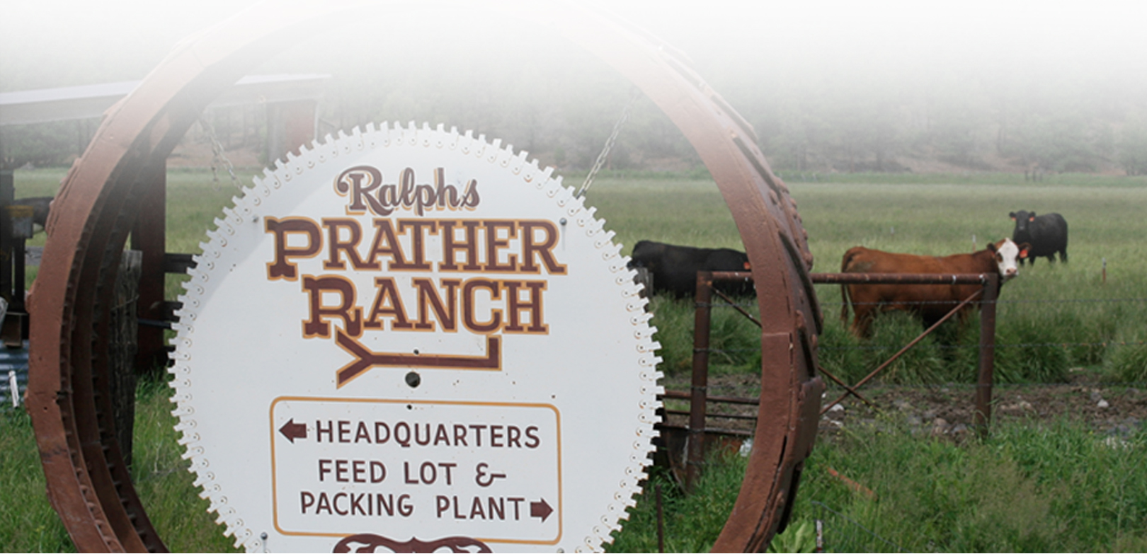 The Dry Aged Difference