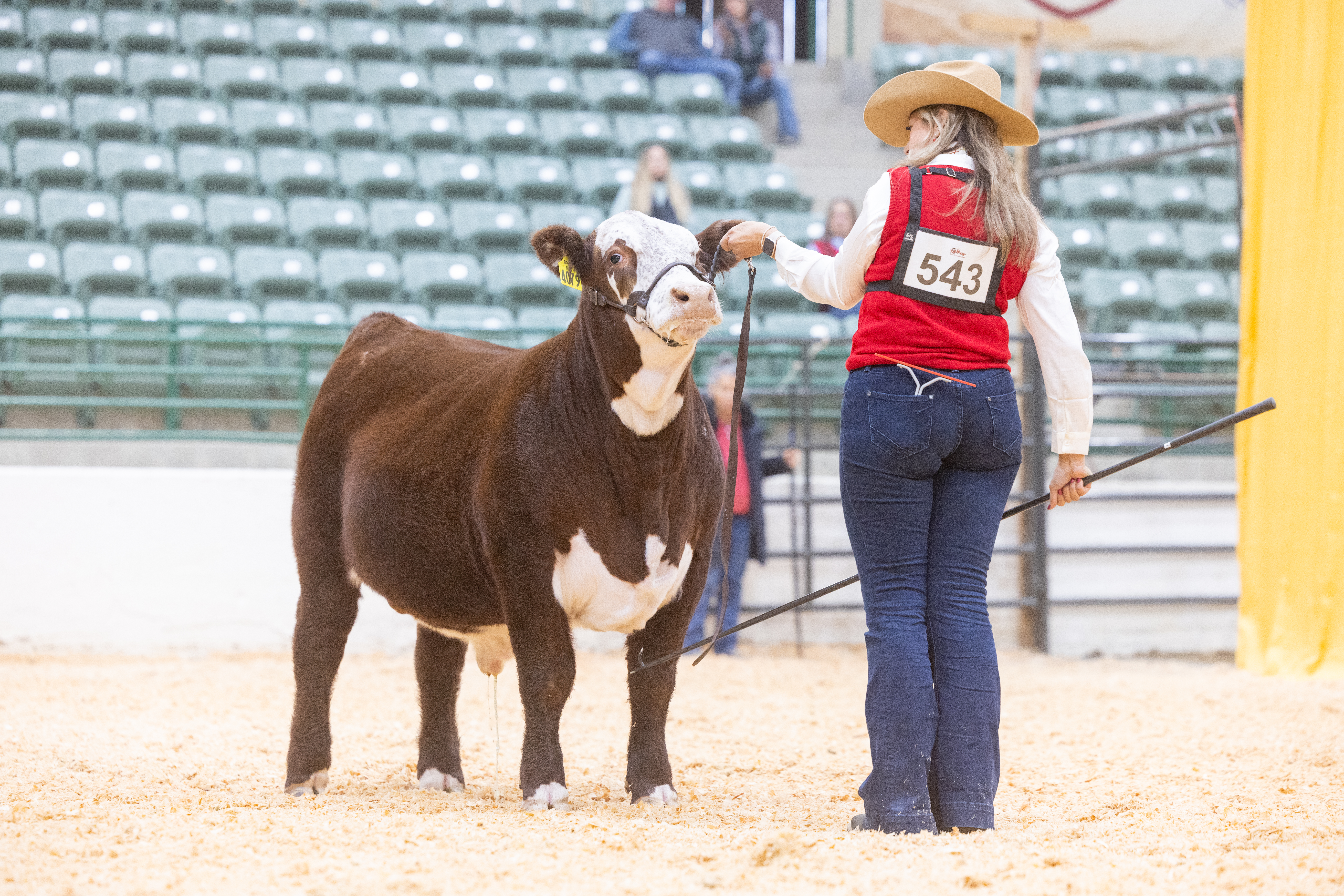 Home [www.herefordreno.com]