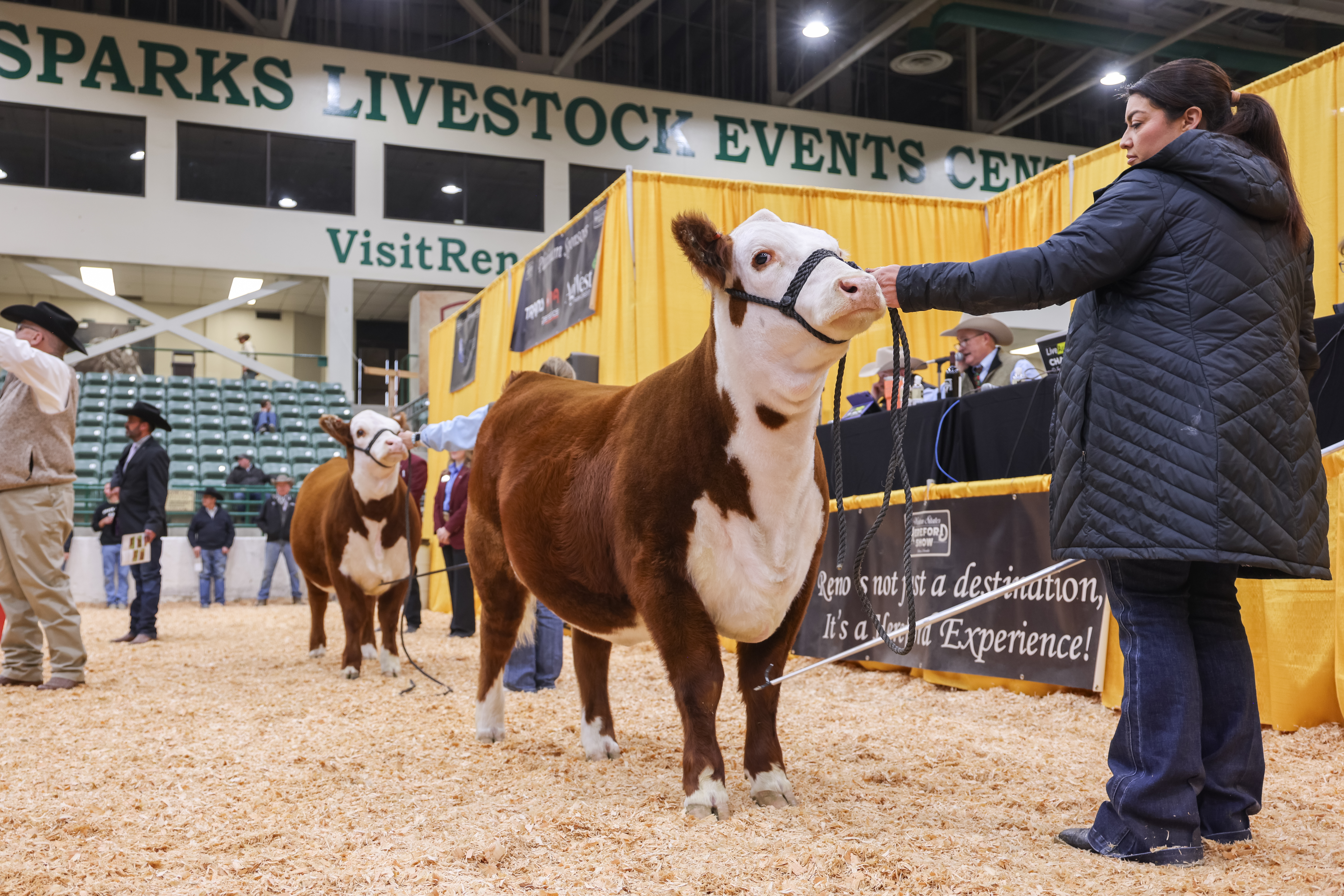 Home [www.herefordreno.com]