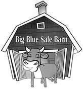 Marketing | SITZ Angus