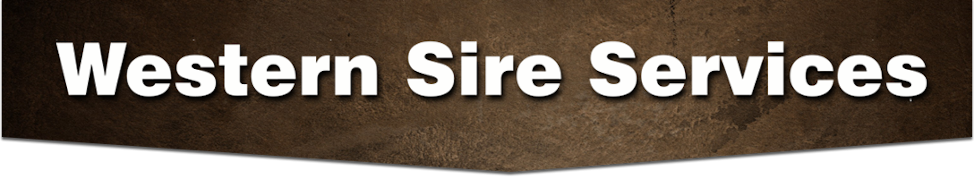 Facility Tour | Western Sire Services