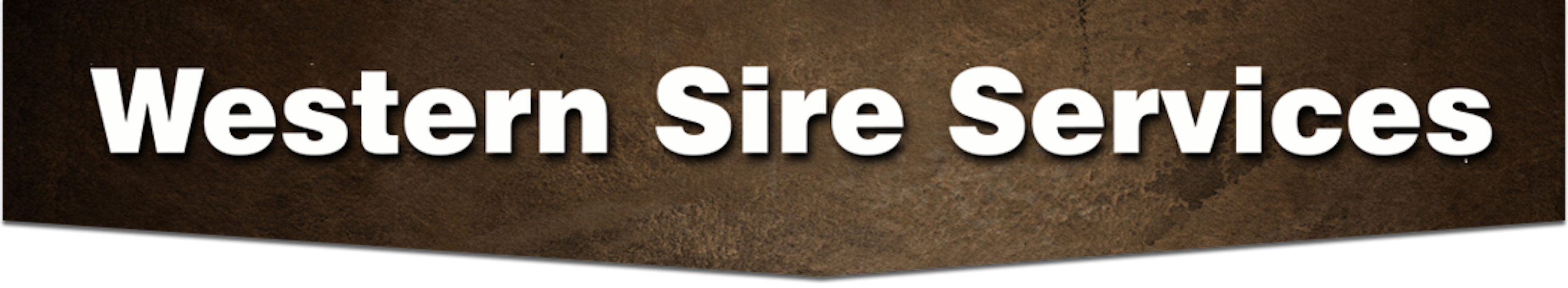 Home | Western Sire Services