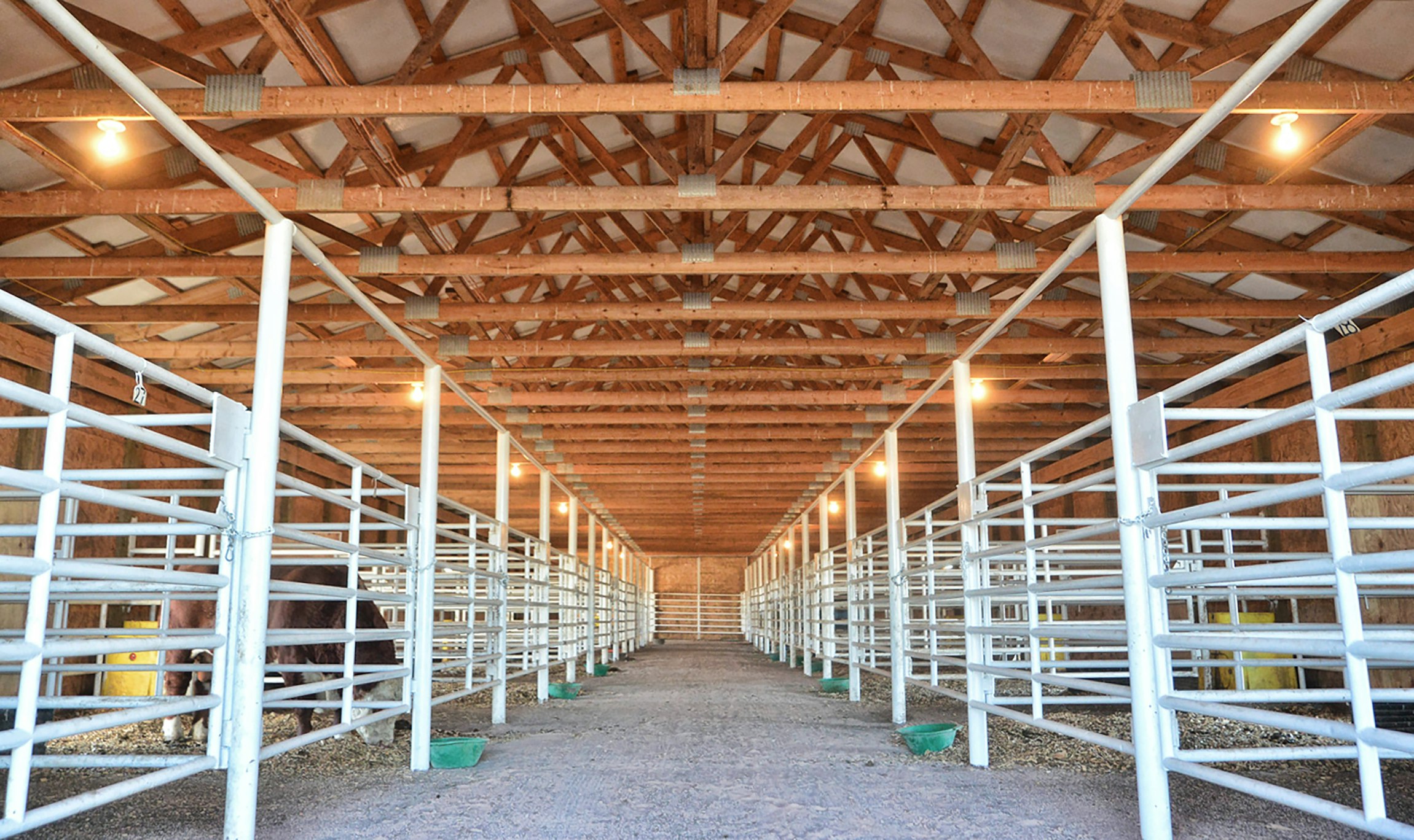 Home | Western Sire Services