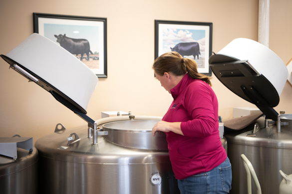 Home | Western Sire Services